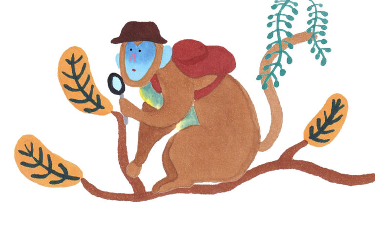 Monkey Type